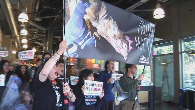 Activism 2.0 - Entering, Agitating & Disrupting - Their Turn