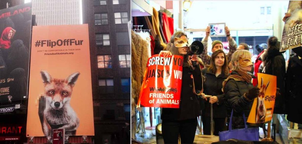 Fur Sales On The Rise - Their Turn