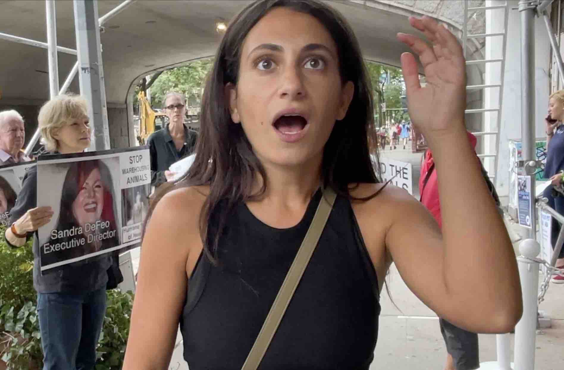 humane-society-of-new-york-employees-send-incriminating-letter-to